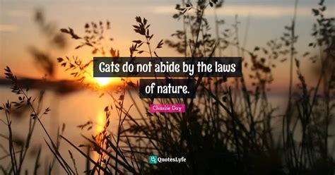 Cats Do Not Abide By The Laws Of Nature Quote By Charlie Day