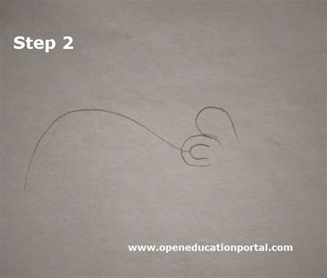 How To Draw Rat A Detailed Step By Step Guide On Drawing A Rat