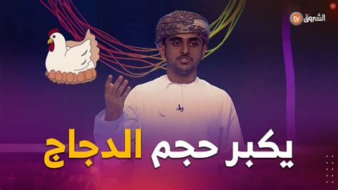 شاب عماني يخترع وصفة تزيد من حجم الدجاج وتضاعف إنتاجيته للبيض نجوم