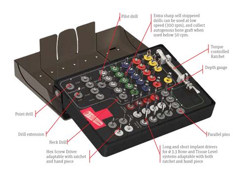 Dental Implant Bone Level Tissue Level