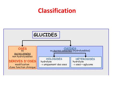 Ppt Les Glucides Powerpoint Presentation Free Download Id 2893380