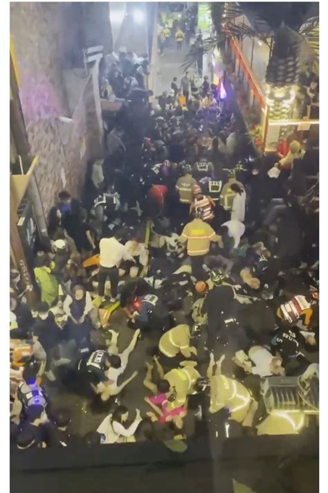 긴급 서울 용산 이태원서 핼러윈 데이 압사 사고로 많은 사상자 발생 더경남뉴스