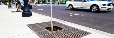 Tree Grates Ej