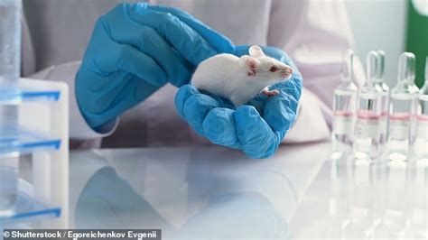 Ahmed Hichem On Linkedin A New Hope For An Anti Aging Drug That Can