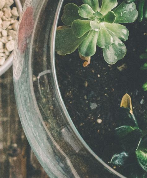 Unity Sky Lounge Terrarium Workshop Milton Keynes Unity Place