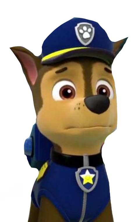 Chase By Dracoawesomeness On Deviantart