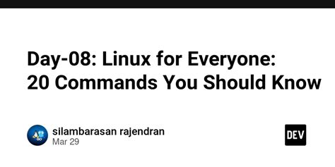 Day 08 Linux For Everyone 20 Commands You Should Know Dev Community
