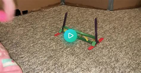 My Bouncy Dwarf Rat Butter Playing Fetch Album On Imgur