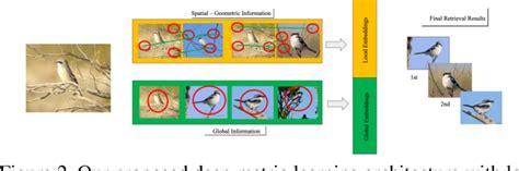 figure 1 from multi head deep metric learning using global and local