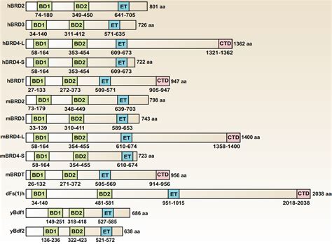 Notes2 Biotechreadmemd At Main · Dearjohnsonnynotes2 Biotech · Github