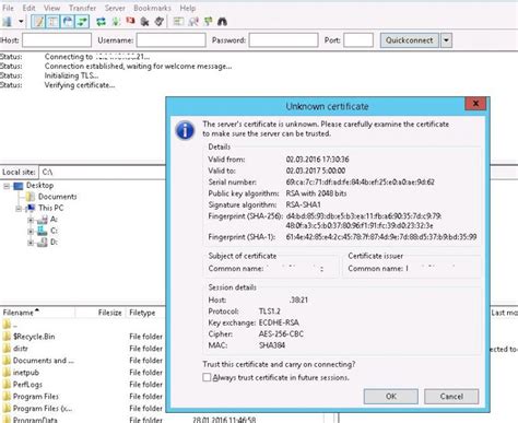 Ftp Over Ssl Ftps в Windows Server 2012 R2 Windows для системных администраторов