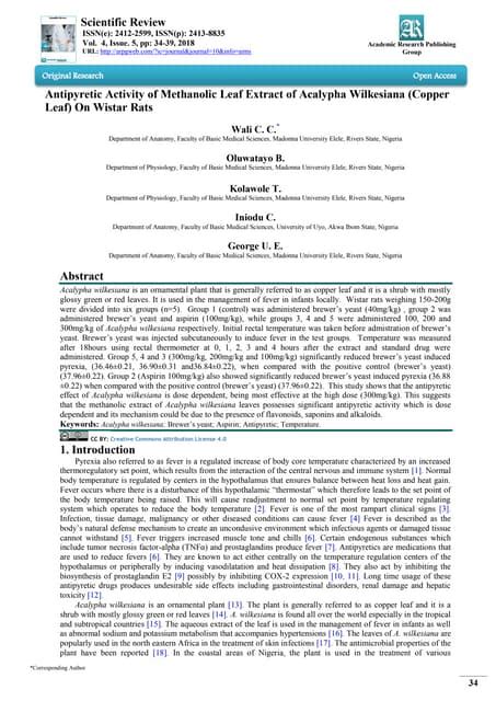 Antipyretic Activity Of Methanolic Leaf Extract Of Acalypha Wilkesiana