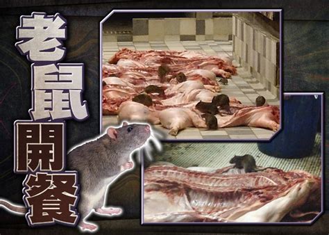 食環署補鑊 肉類均須直接送進店內 不得存放街上｜即時新聞｜港澳｜oncc東網