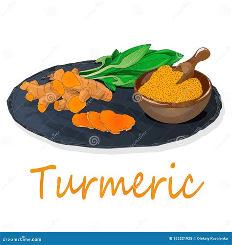 Turmeric Curcuma Longa Linn Powder And Root On White Background Vector