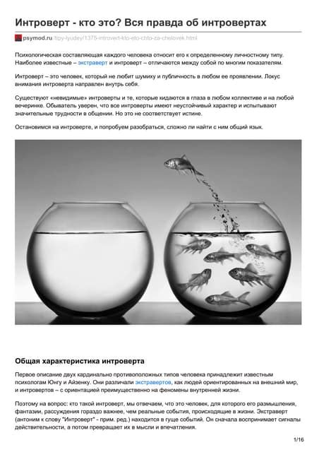Интроверт - кто это такой? Что такое интроверсия? | Типы личности ...