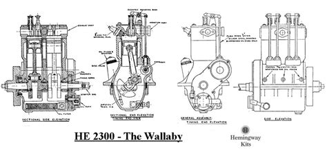Wallaby Drawings Notes Hemingwaykits