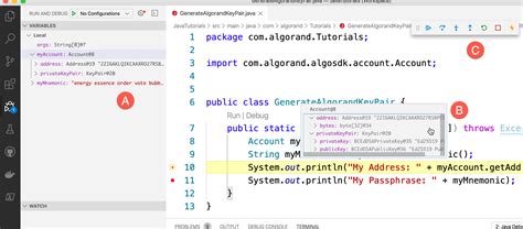 Using Vs Code With Java Algorand Developer Portal