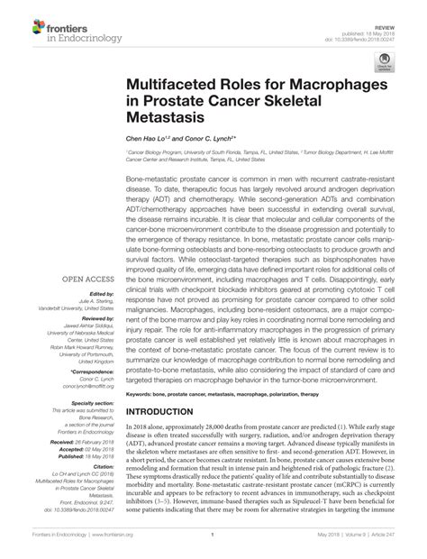 Pdf Multifaceted Roles For Macrophages In Prostate Cancer Skeletal