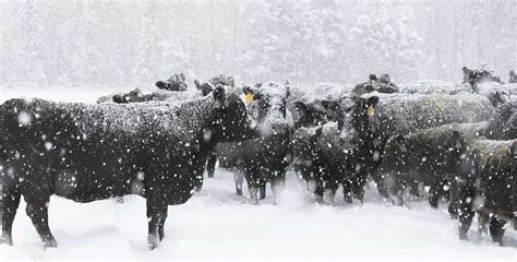 Sonubaits Sonubaits Added A New Photo