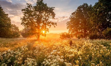 Ralph Eugene Hinkle Obituary In Danville At Visneski Funeral Home Inc Obit