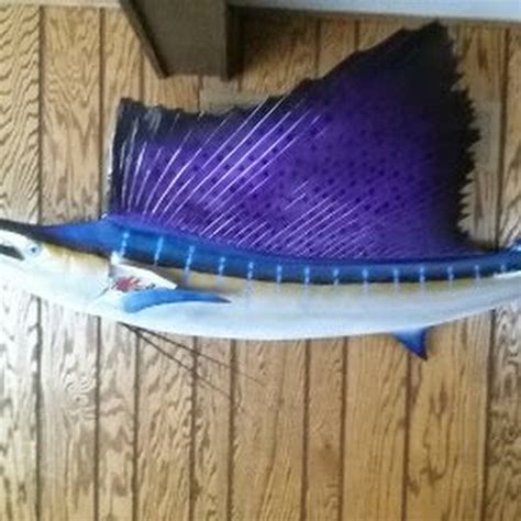 Jack Stapleton Youtube