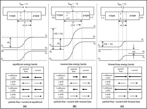schematic representation of the width of space charge depletion