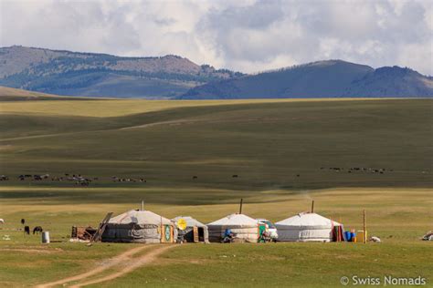 Unsere Ersten Eindrücke Aus Der Mongolei Swiss Nomads