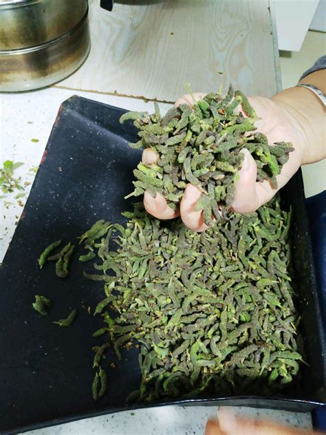 蒸构树穗怎么做 蒸构树穗的做法 豆果美食