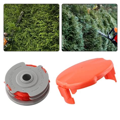 Ensemble De Piscine Et De Bouchon Syst Me D Alimentation Automatique