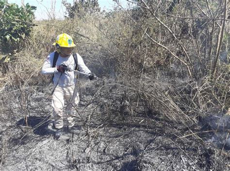 Incendios Superan Las 500 Hectáreas Afectadas
