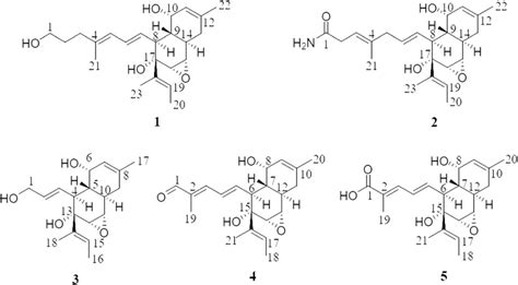 Chemical Structures Of Compounds 1 5 Download Scientific Diagram