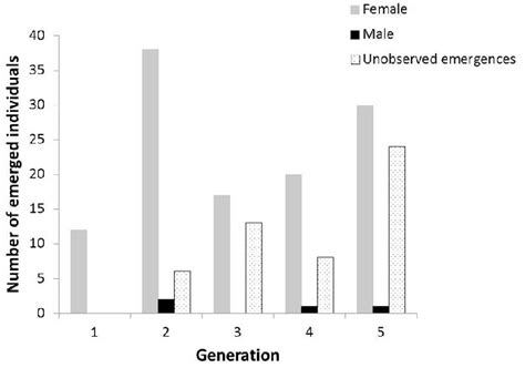 Number Of Females Males And Unobserved Emergences During Five