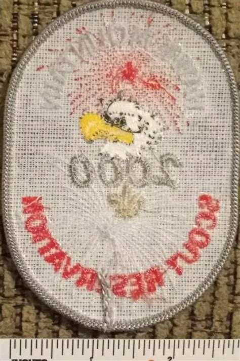 Hawk Mountain Scout Reservation 2000 Bsa Patch