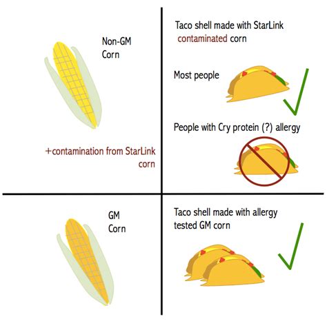 Nothing To Sneeze At The Allergenicity Of Gmos Science In The News