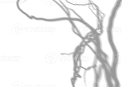Shadow From Branches Overlay Effect Realistic Gray Shadow On
