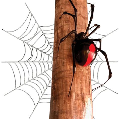 Prehistoric Spider Size