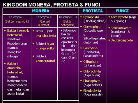 Detail Contoh Monera Dan Protista Koleksi Nomer 57