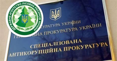 10 лет за взятку в 11 млн евро осужден предприниматель который
