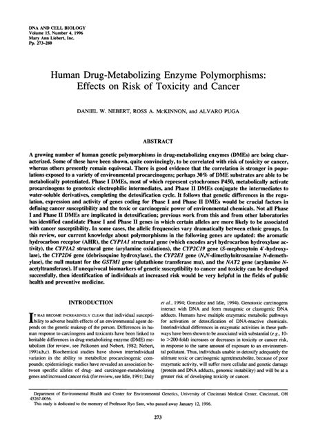 Pdf Human Drug Metabolizing Enzyme Polymorphisms Effects On Risk Of