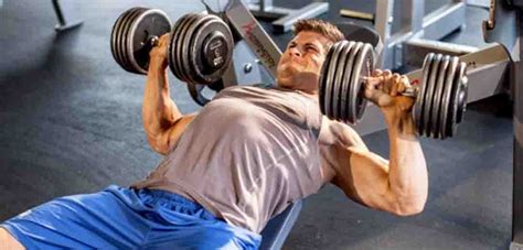 Meilleurs exercices pectoraux aux haltères Fitness Life