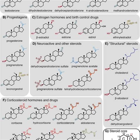 Typical Simulation System Lipid Head Groups Are Shown In Sphere