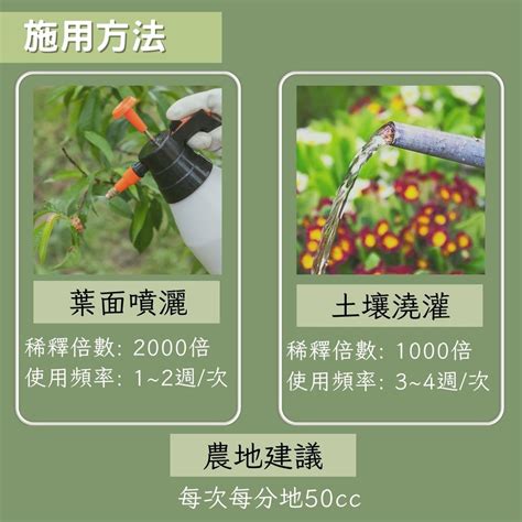 【tezu園藝】矽美壯 矽鈣勇 黑炭矽 矽肥 正矽酸鉀肥 恢復土壤肥力 提高抗逆境 蝦皮購物