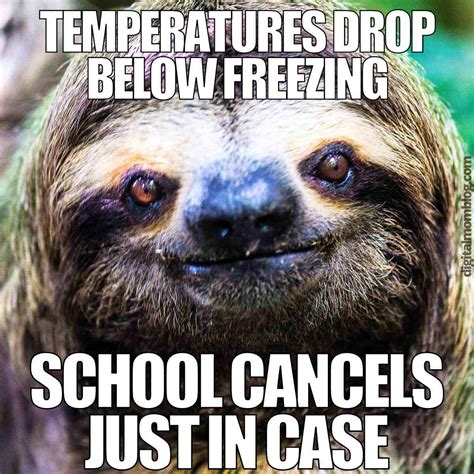 21 Hilarious School Closing Memes For When Theres No School