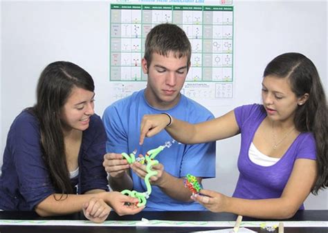 ß Globin Folding Kit©