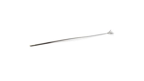 Modelo 3d Pluma Desnuda TurboSquid 2211814