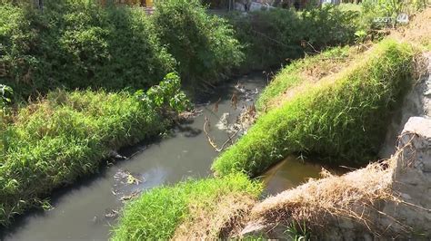 Plantas De Tratamiento Para Contaminación De Río Santiago Aseguró