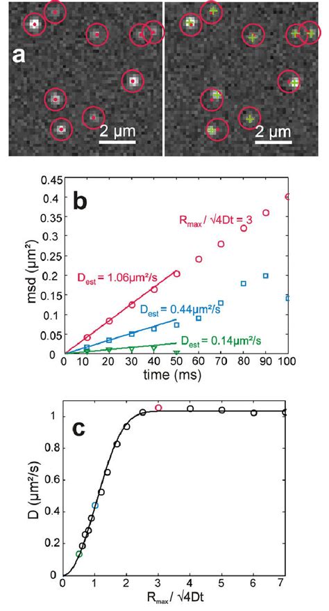 Single Molecule Tracking A The Two Images Show Simulations Of Single