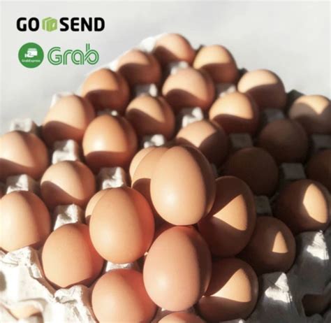 Telur Telor 1 Ikat 15 Kg Lazada Indonesia