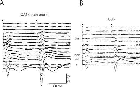 Figure 1 From Nucleus Reuniens Thalami Modulates Activity In Hippocampal Field Ca1 Through