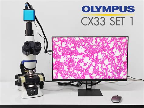 ศูนย์กล้องจุลทรรศน ศูนย์กล้องจุลทรรศน์ Microscope ราคาส่ง